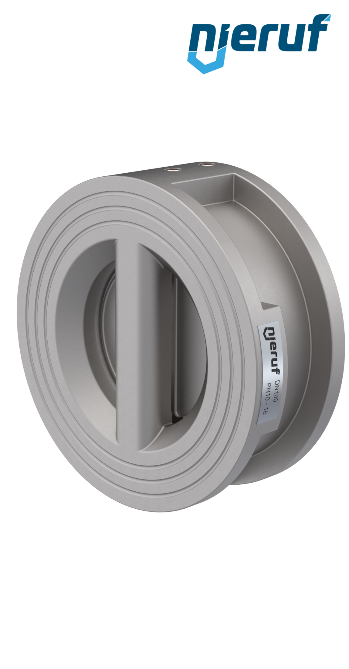 dual plate check valve DN100 stainless steel NBR