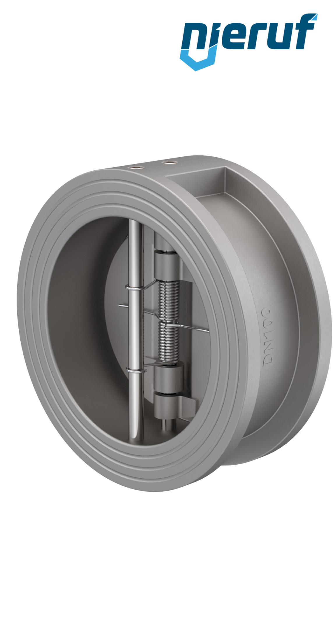 dual plate check valve DN100 stainless steel EPDM