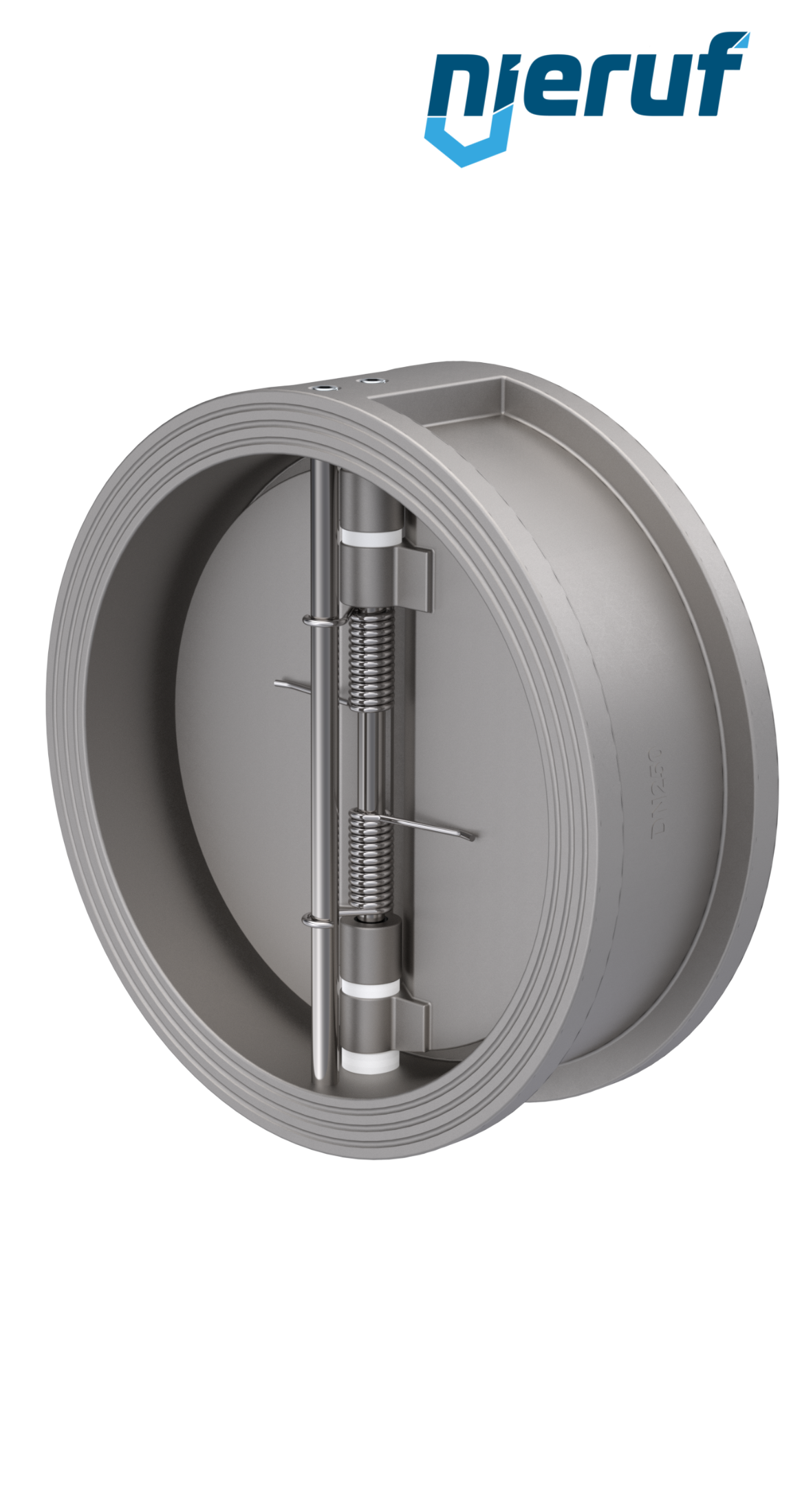 dual plate check valve DN250 stainless steel NBR